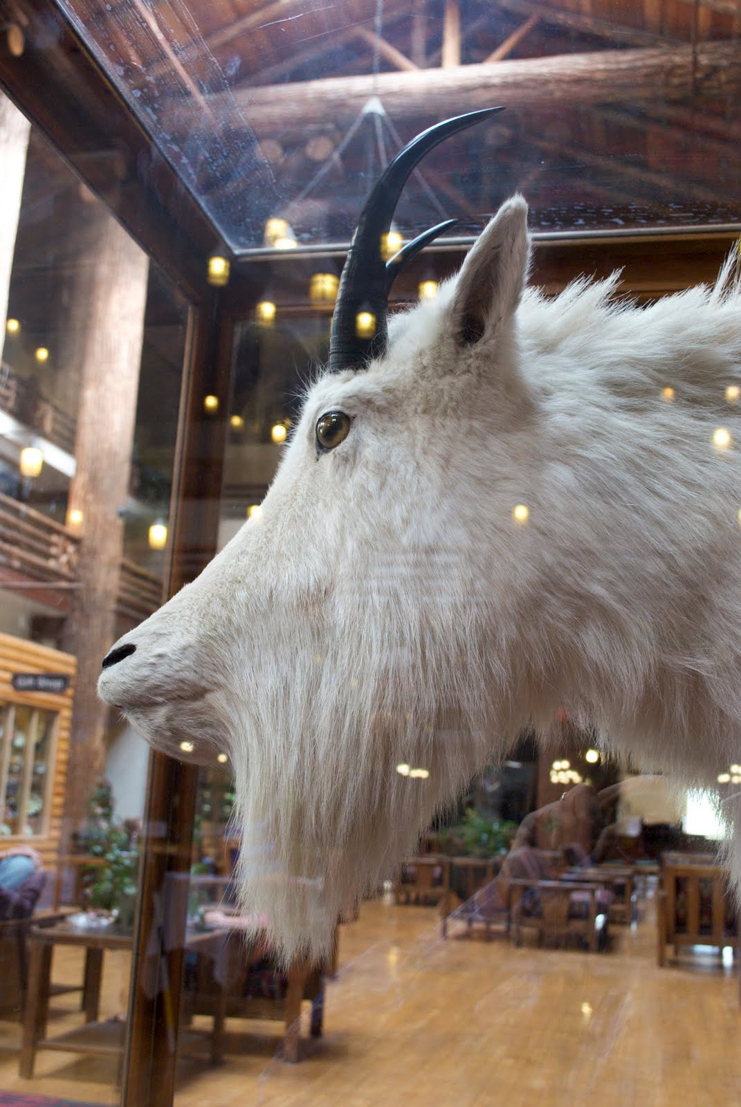 Old Florida: Parkitecture