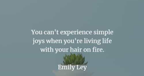 55 Simplicity quotes and sayings that will inspire you