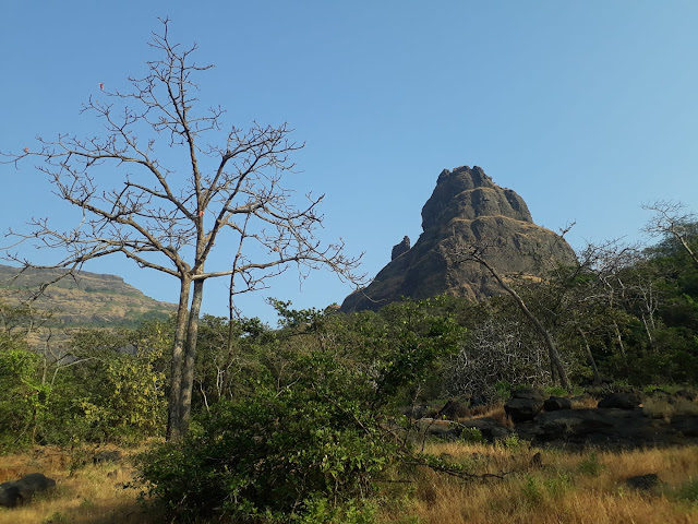 Hiking in the Sahyadris!...: Fort Padargad (18-01-2020)