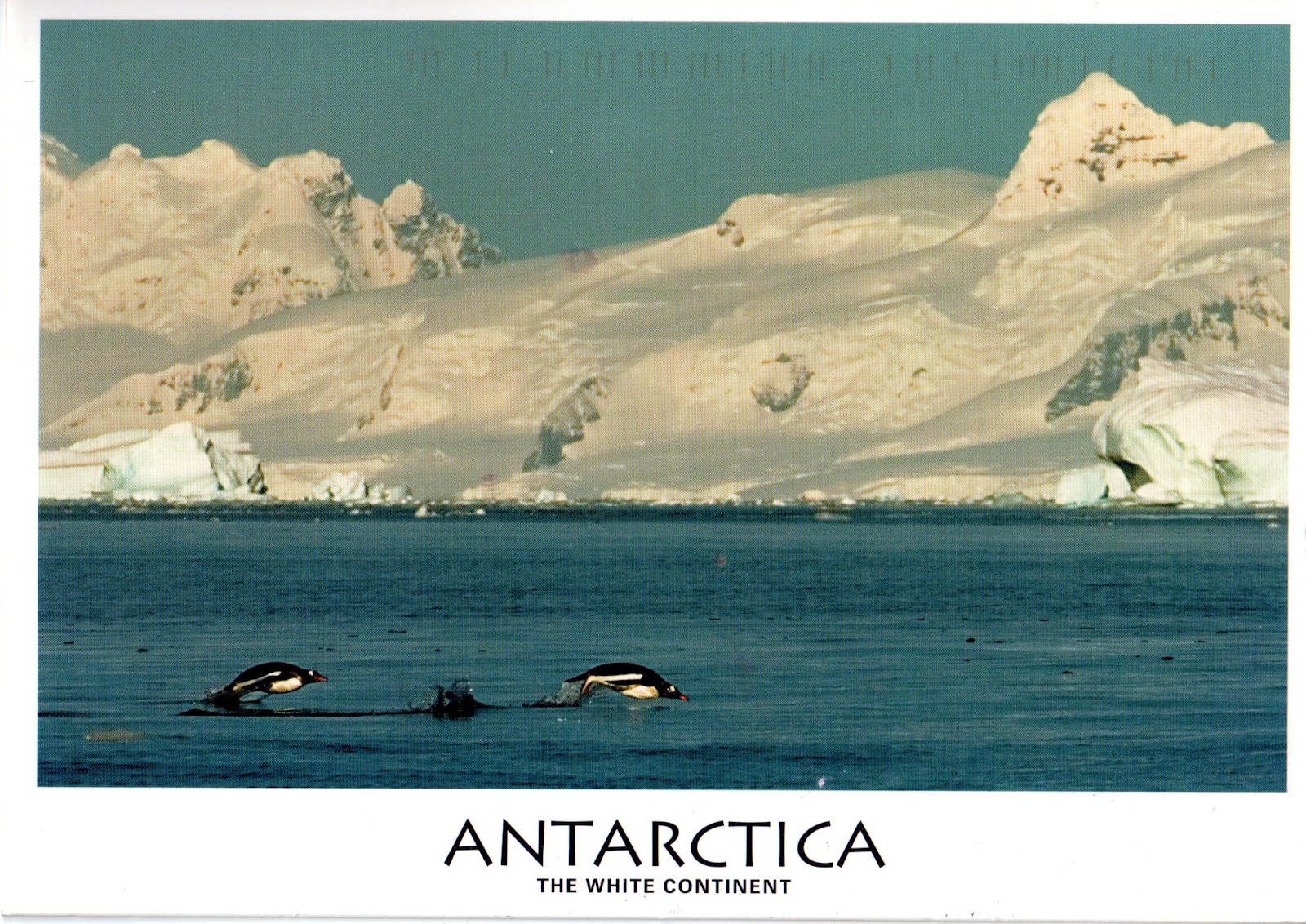 LAICHUNGLEUNG: Postcard From Antarctica