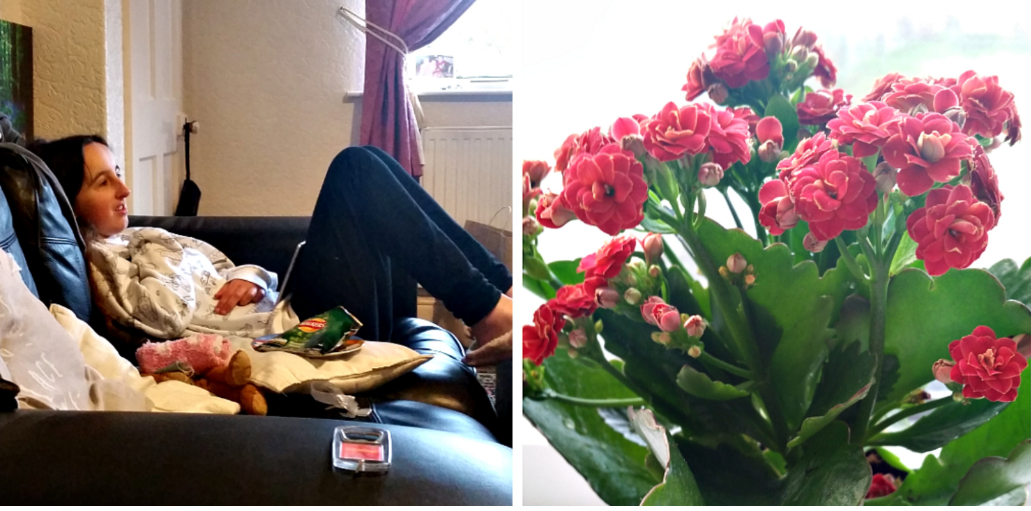 Life As Kim: Week 48 of #Project365 - A photo every day for a year!