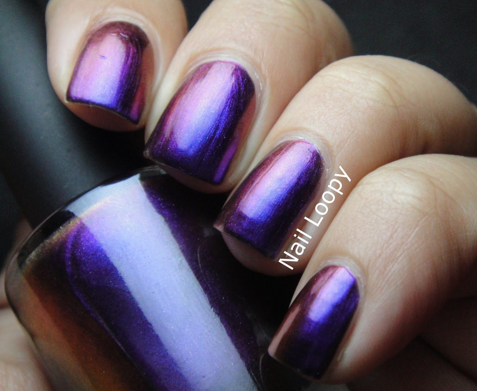 nail loopy: ILNP CYGNUS LOOP