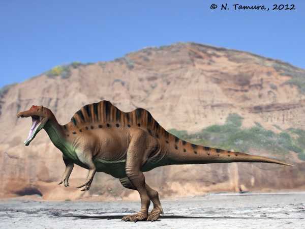 Palaeocritti Blog: Oxalaia quilombensis