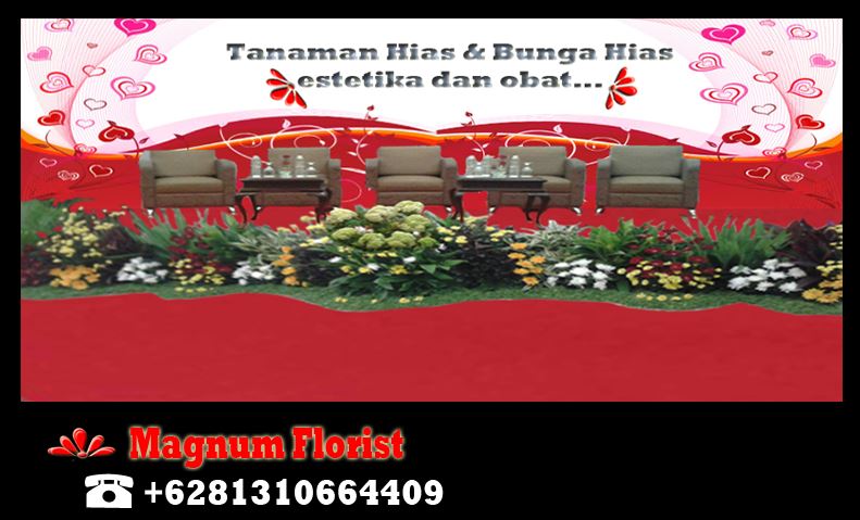 Toko Bunga Magnum Jakarta Barat - Online Florist Indonesia 24 Jam