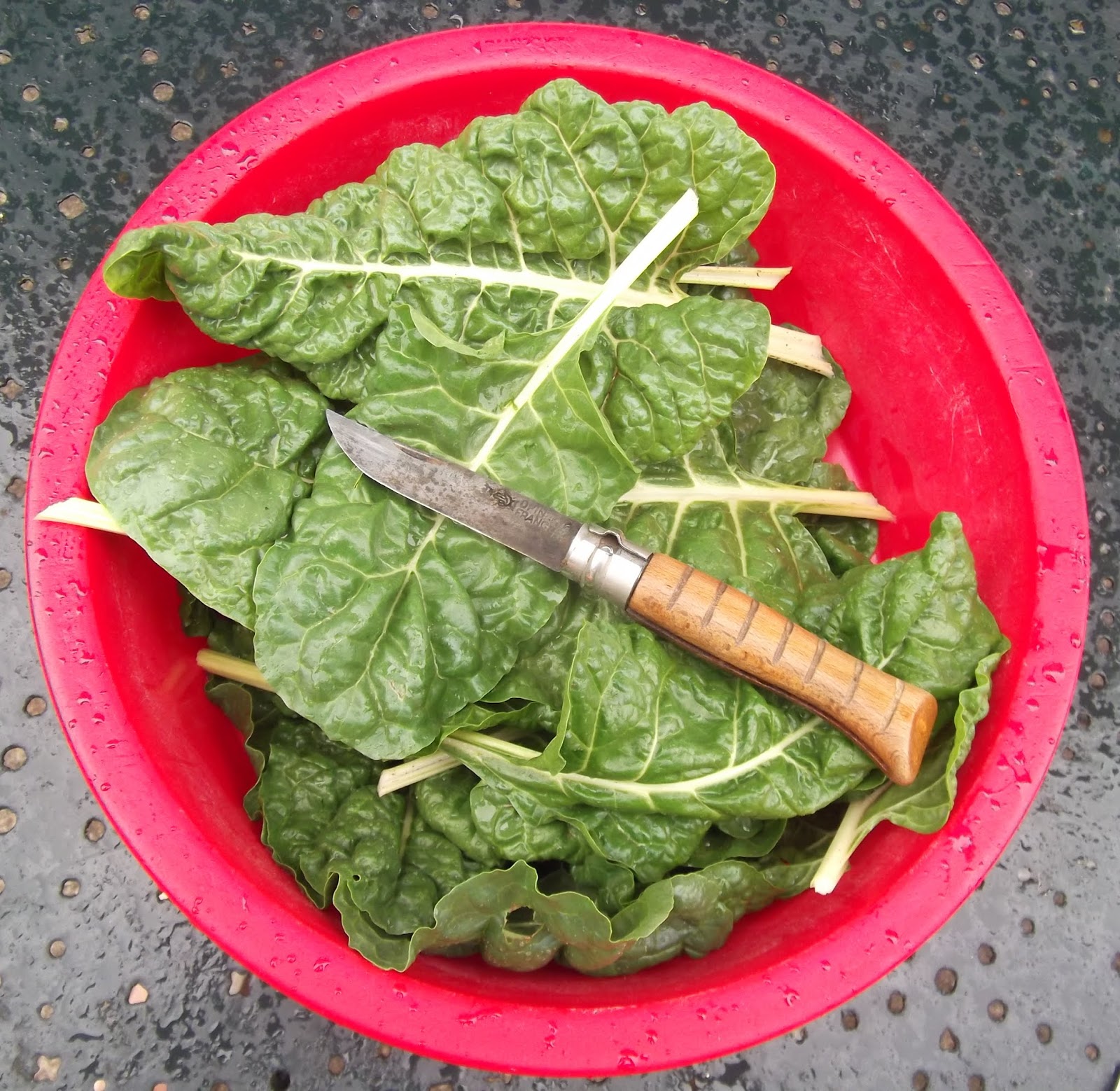 Magnon's Meanderings: Be like Popeye.