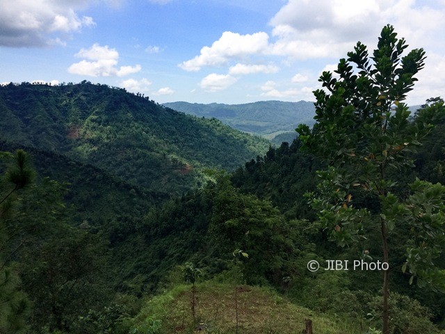 GEOPARK INDONESIA: TAMAN BUMI GLOBAL (GEOPARK) GUNUNG SEWU