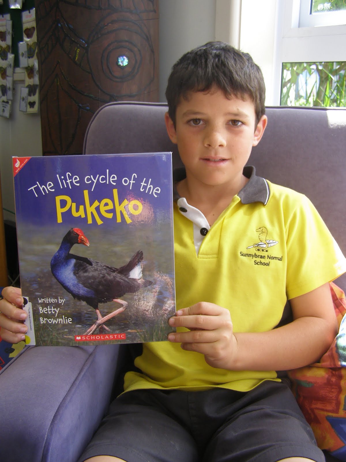 Sunnybrae Normal Library: The Life Cycle of the Pukeko written by Betty ...