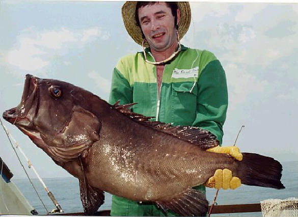 Frutos del Mar: Cherna y mero