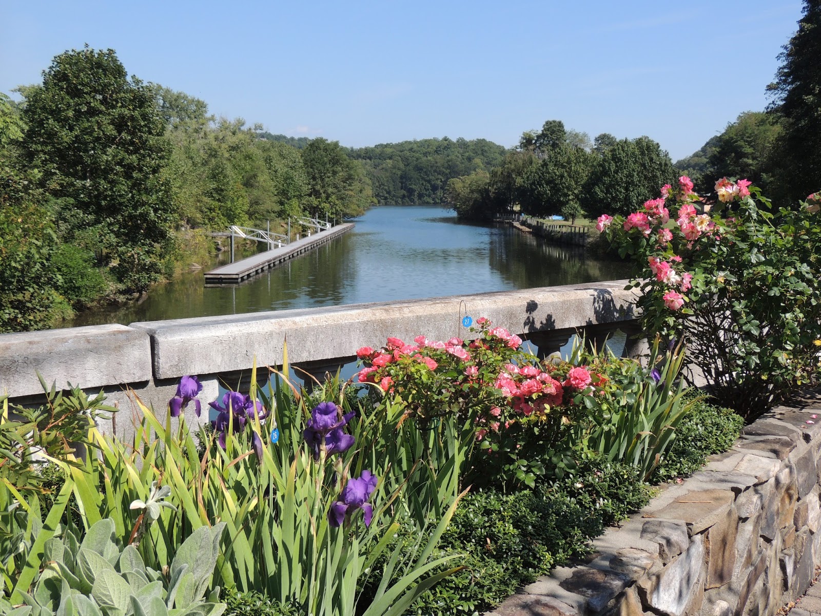 A Visit to the Lake Lure Flowering Bridge