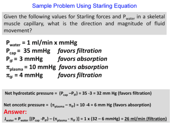 EXAMS AND ME : Starling Forces
