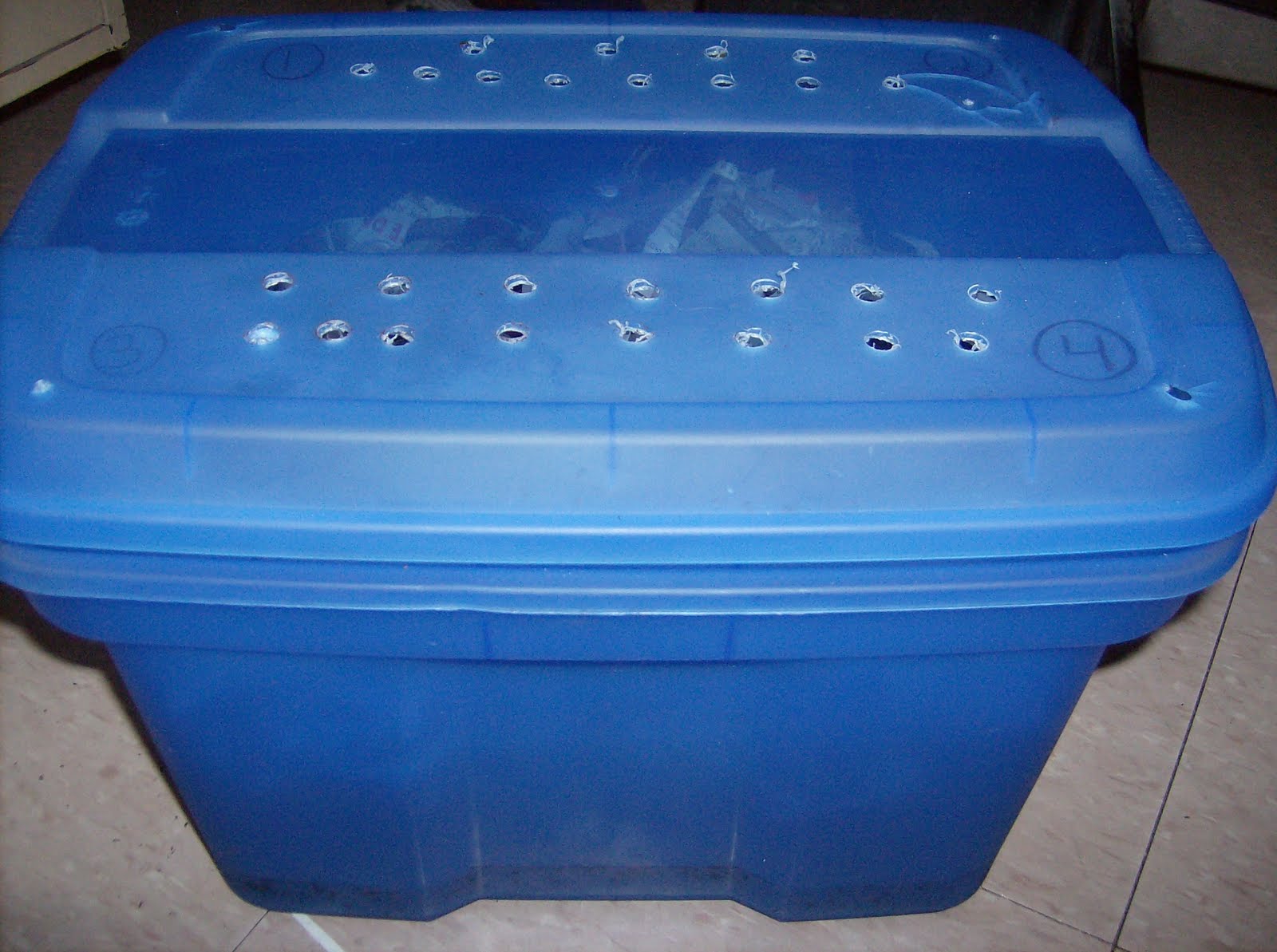 George Syme Community School Garden Club: How to Build a Vermi-Compost