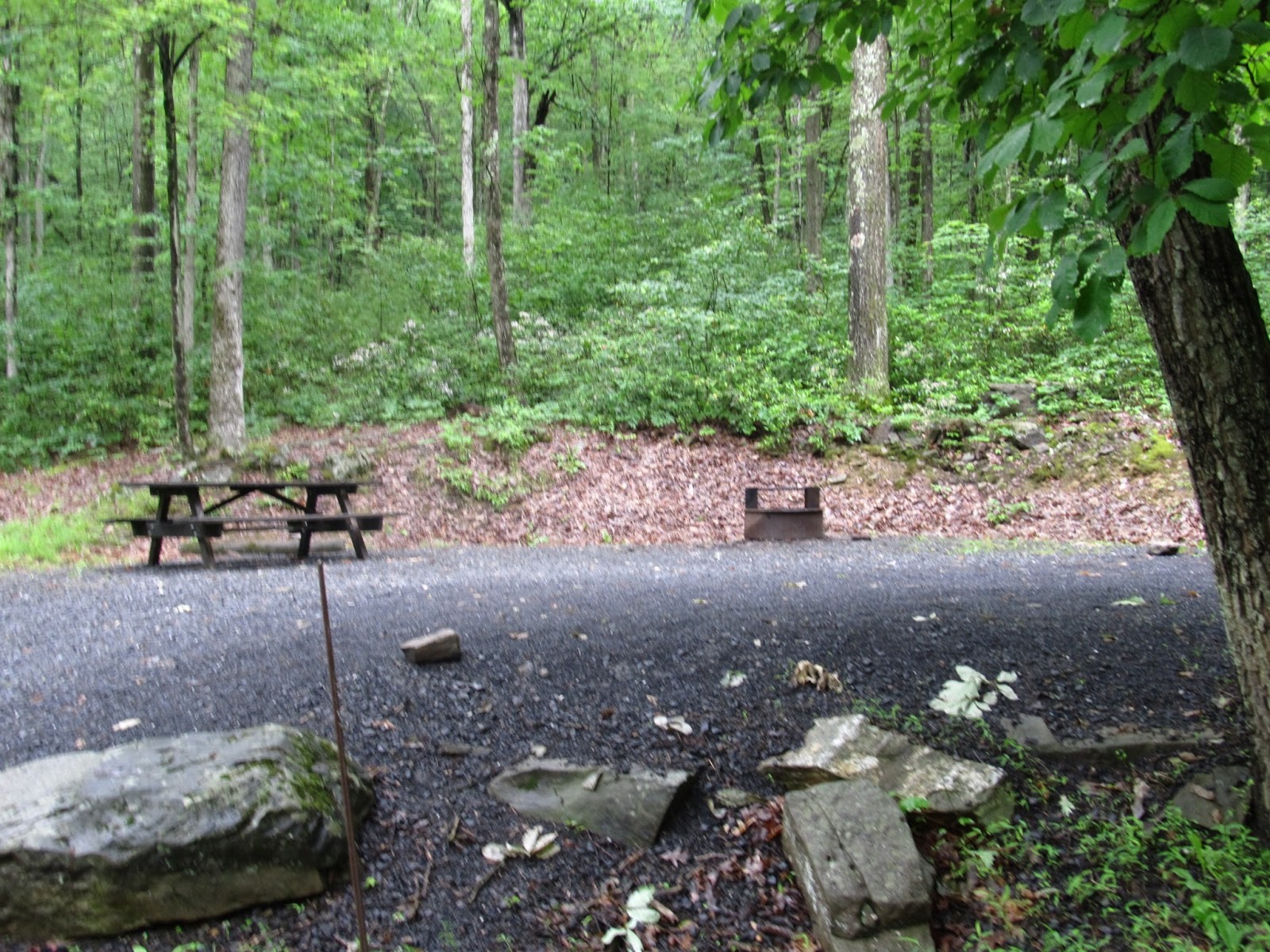 Pennsylvania State Parks: Poe Valley State Park