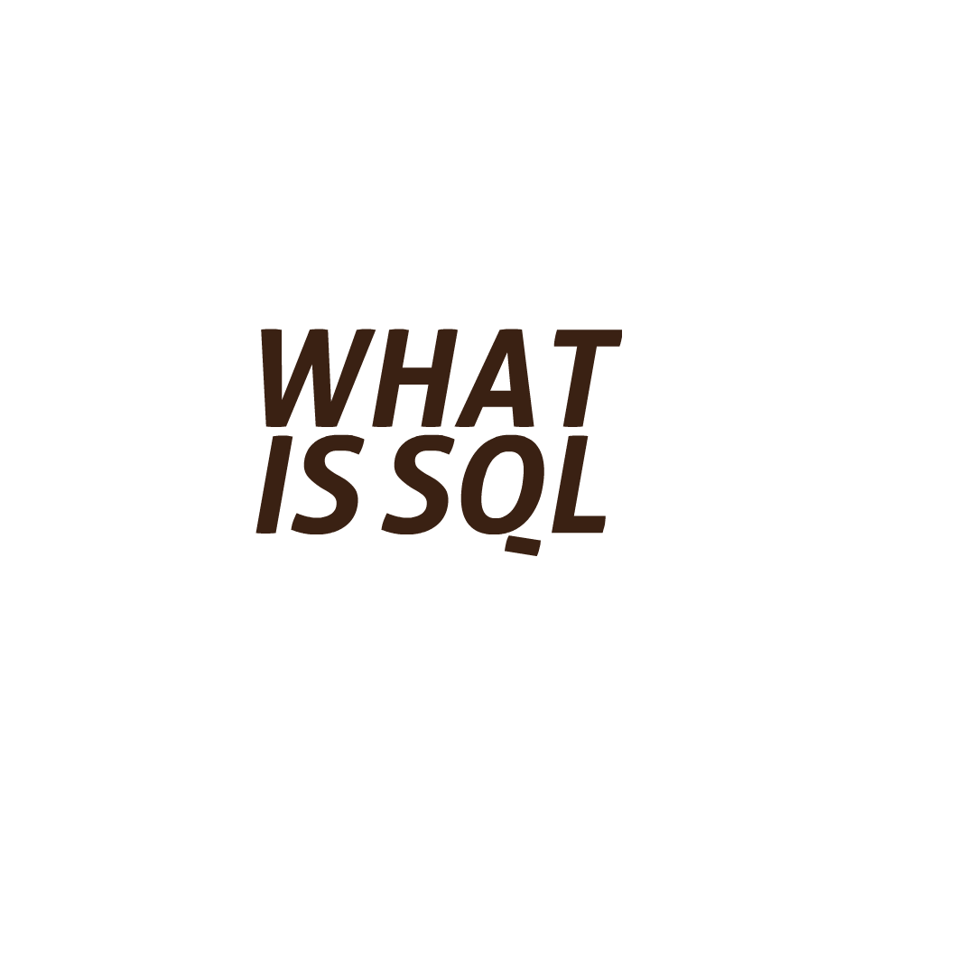 What Is SQL Datawarehouse Architect what-is-sql-datawarehouse-architect