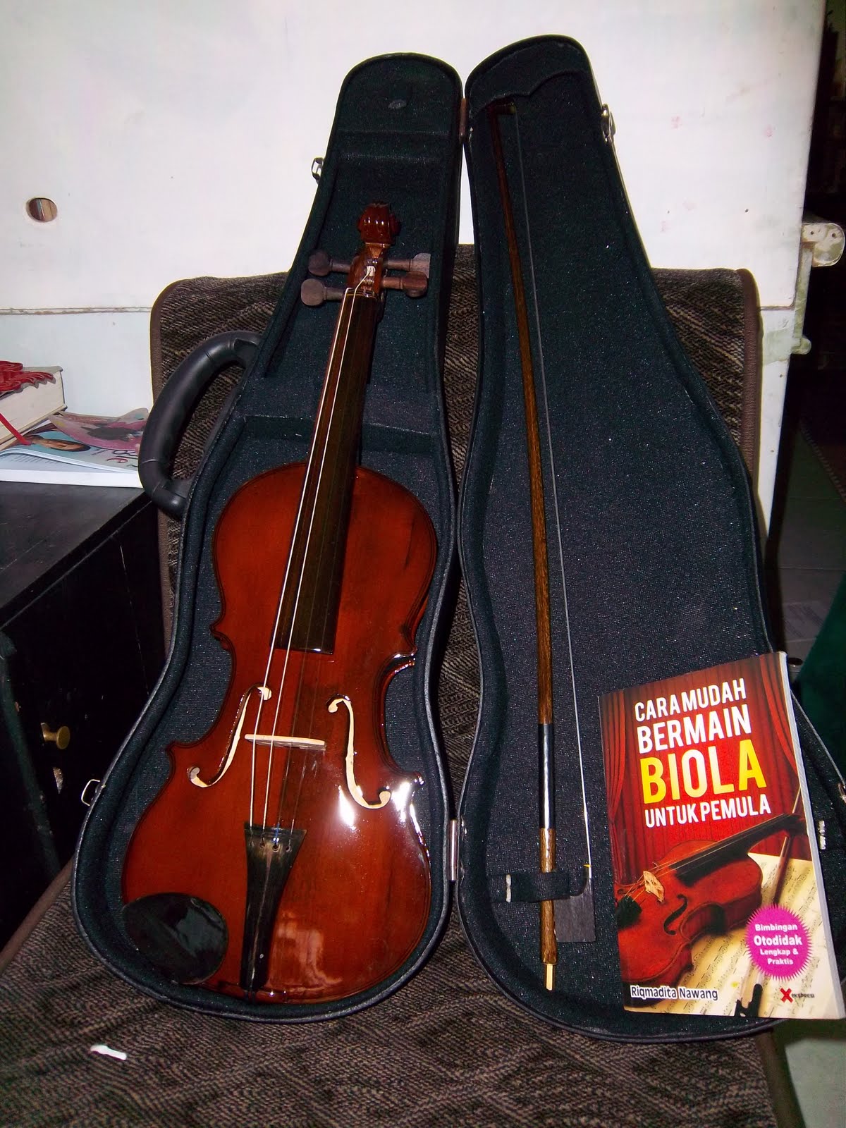 jual biola murah: biola pesanan