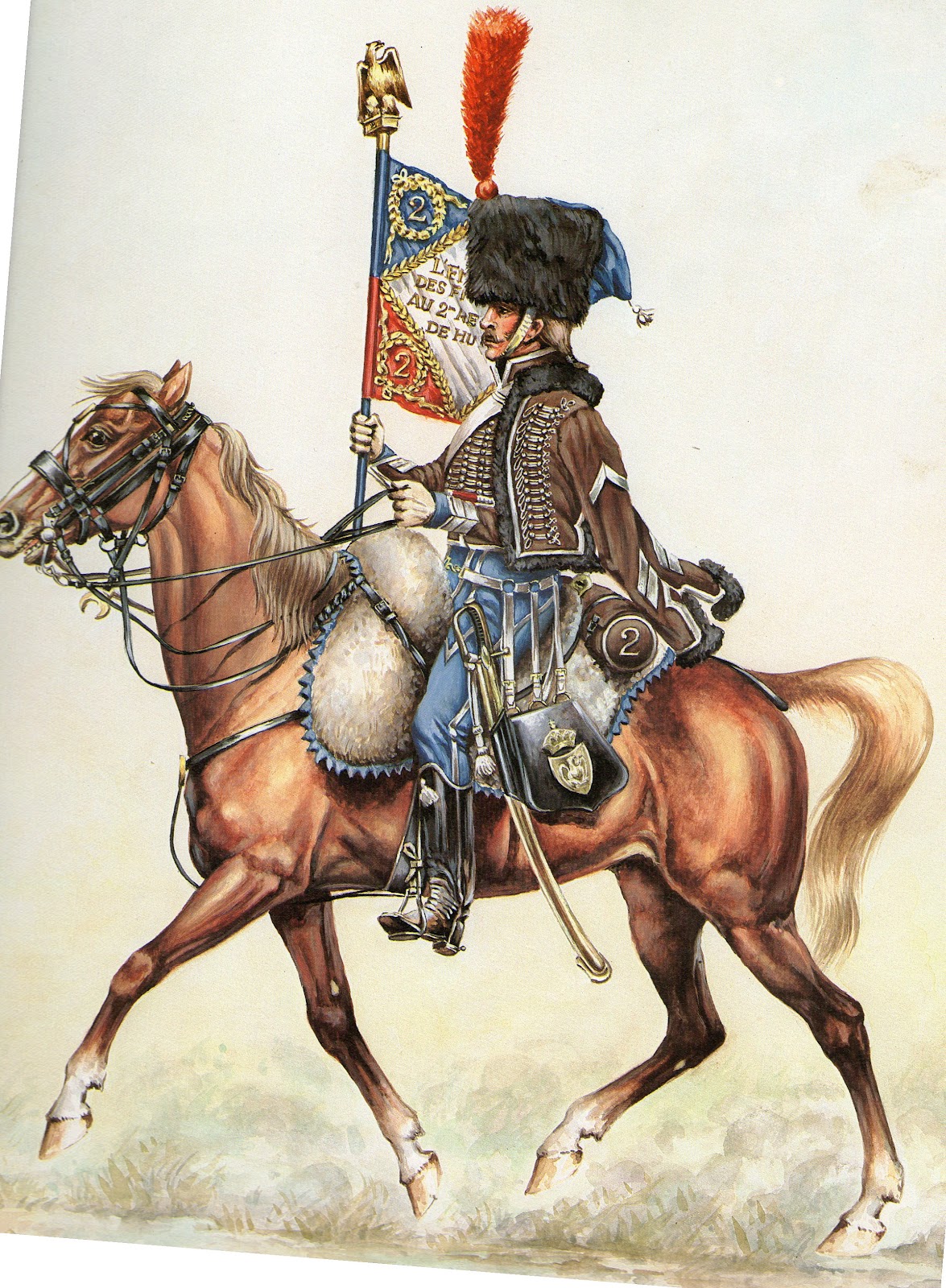 la biblioteca militare: Gli ussari napoleonici nelle tavole LE CIMIER