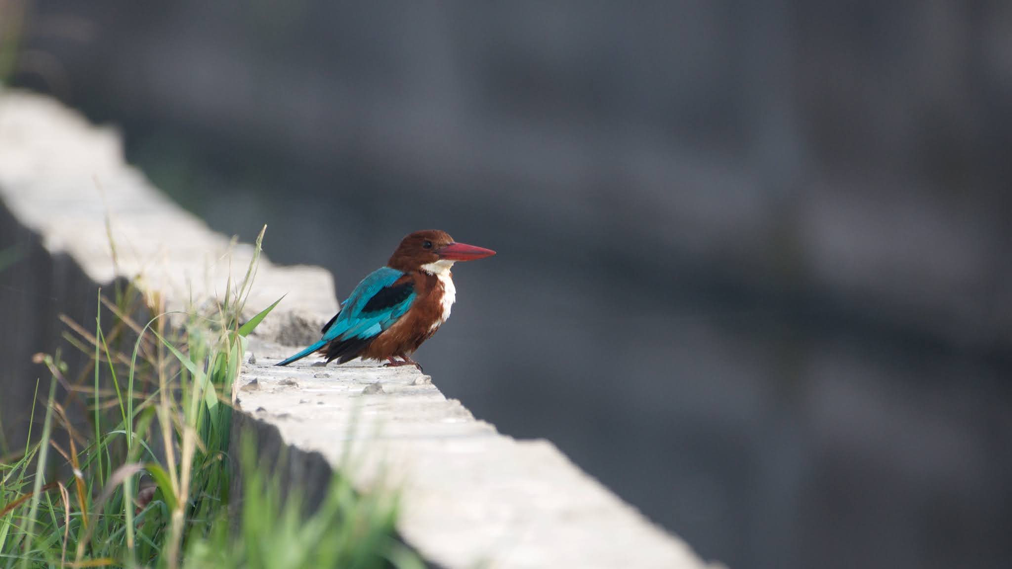 Taken on November 10, 2017