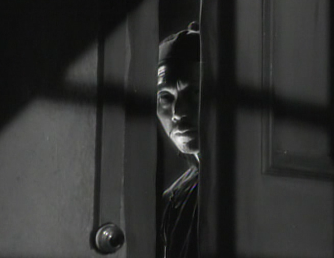 Smarty Cat - Alchetron, The Free Social Encyclopedia