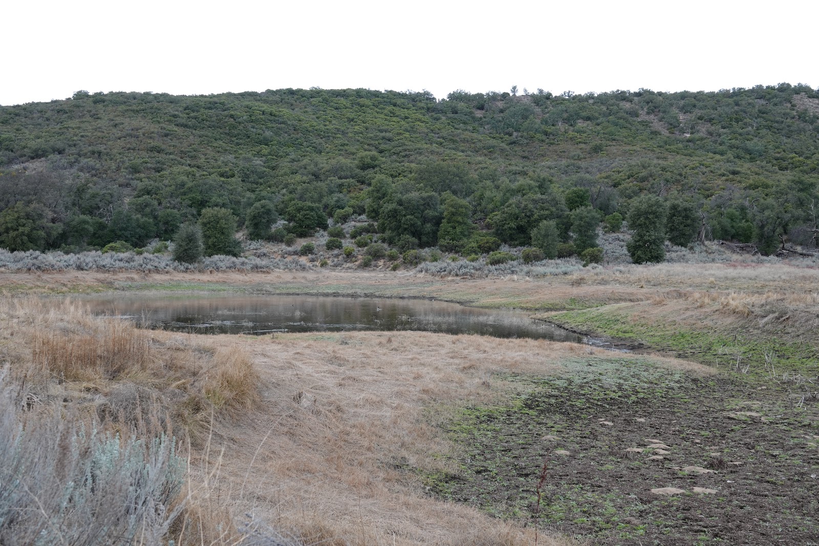 Looking for Lakes: Corte Madera