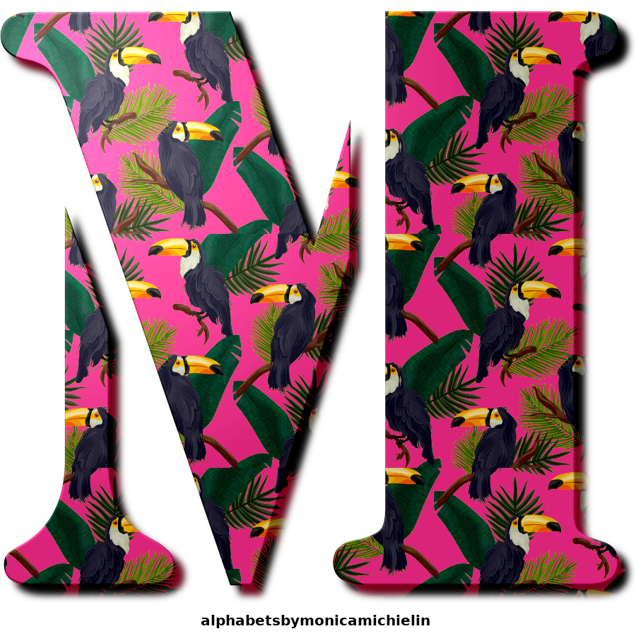 M. Michielin Alphabets: TOUCAN ALPHABET PINK BACKGROUND, NUMBERS, ICONS ...