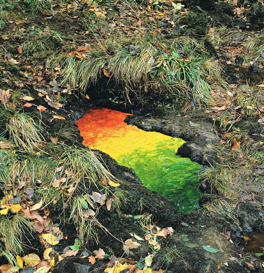 Artist Profile - Andy Goldsworthy