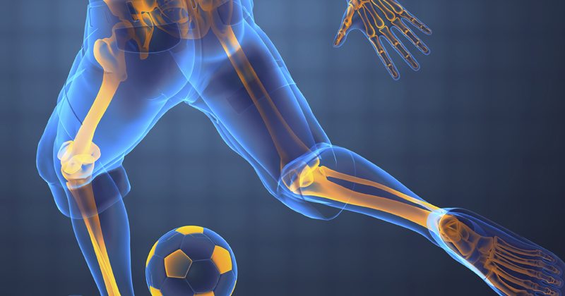 Orthopedic Sports Medicine Professionals - What You Can Expect From Them