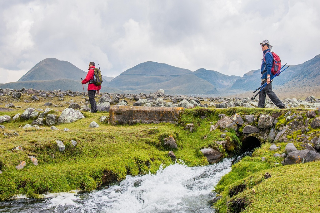 ECUADOR, un hermoso país Andino: - El Páramo andino
