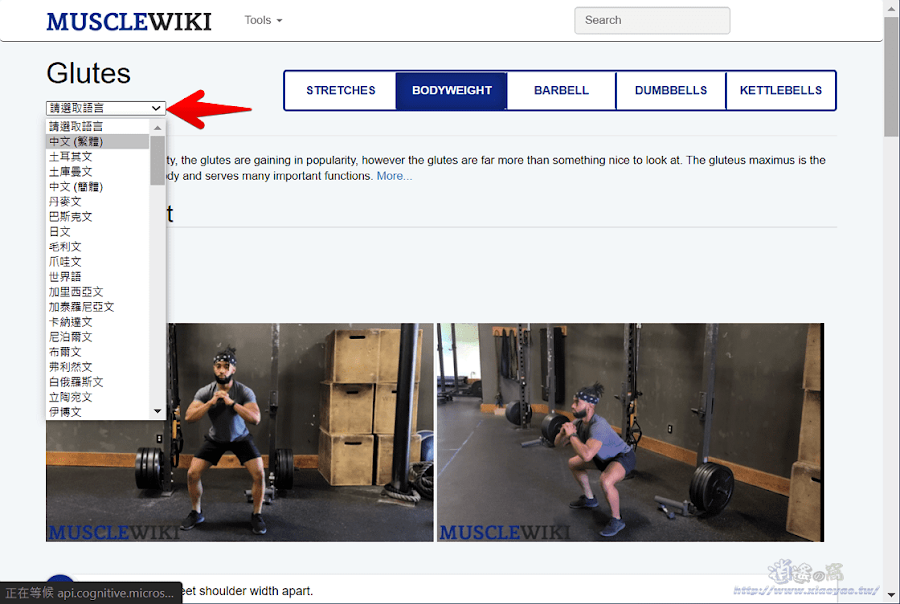 MuscleWiki 肌肉訓練示範教學網站，提供五種方式鍛煉全身各部位肌肉