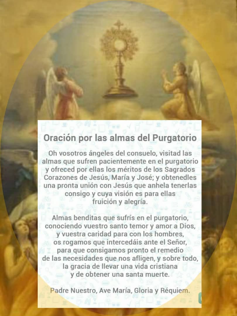 Catolicismo.net: Jesucristo, Virgen María, Lecturas del dia, Misas, Evangelio, Oraciones ...