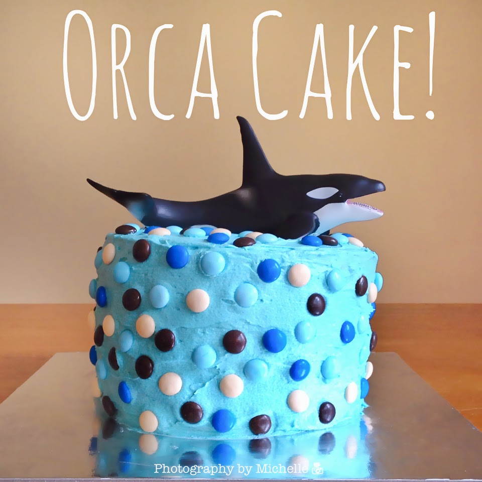 Photography by Michelle: William's Orca Cake
