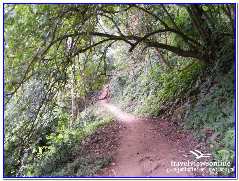 പ്രകൃതിയിലേക്ക് ഒരു യാത്ര (a travel towards NATURE): PULLUMEDU a unique ...