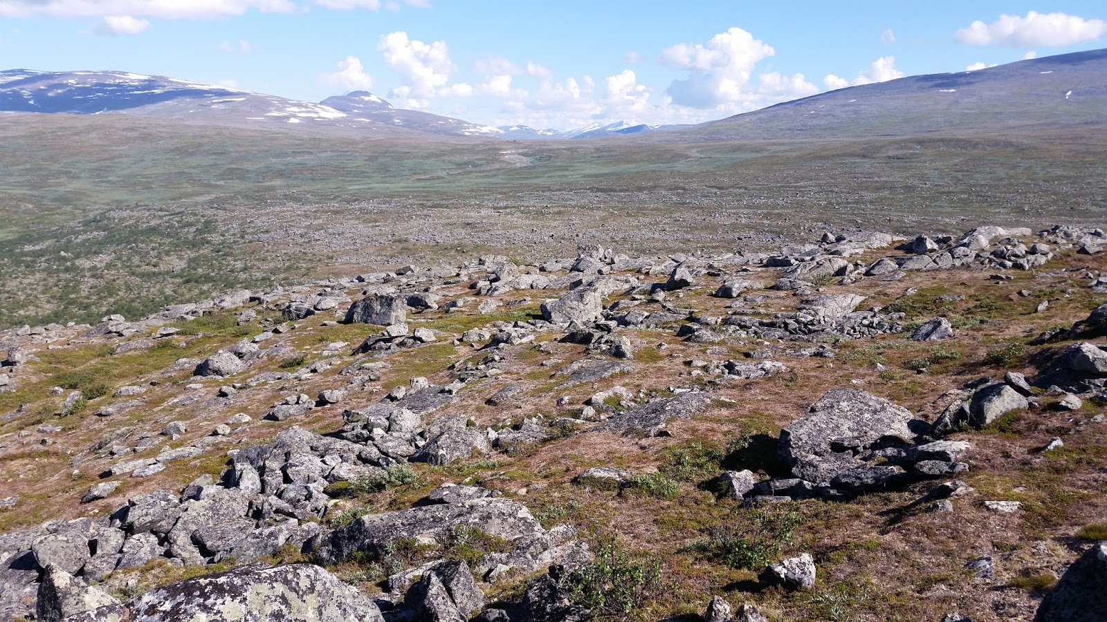 Askelmittari: Rusinat pullasta