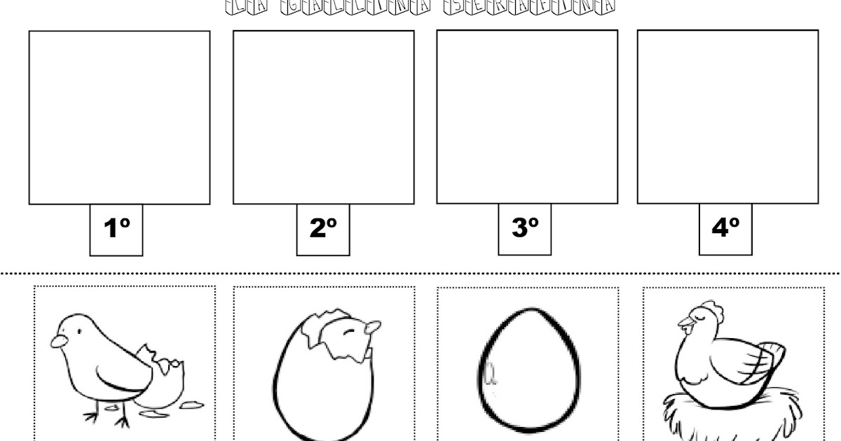 MAESTRAS DE INFANTIL COLEGIO BEETHOVEN: CUENTO DE LA GALLINA SERAFINA