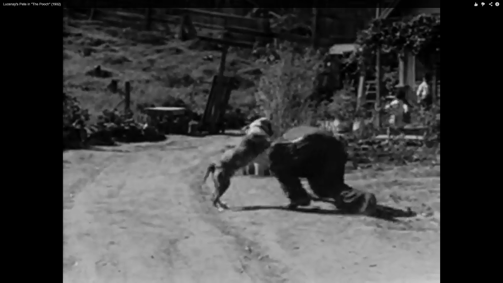 Pit Nutter Circus: Pitty Scenes from the Silver Screen