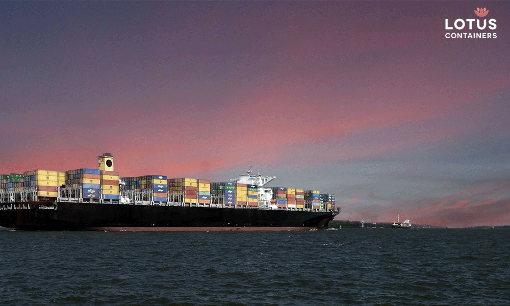 Shipping Containers for Sale | Freight Container | LOTUS Containers