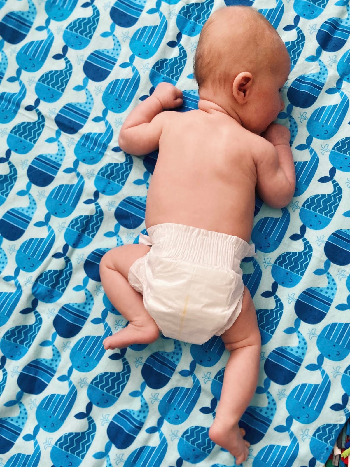 Sustainable diapering with Dyper... | : Green Chic Life