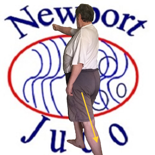 Judo and Life: Tandoku Renshu Kata: First Set, Leg & Other Stretches