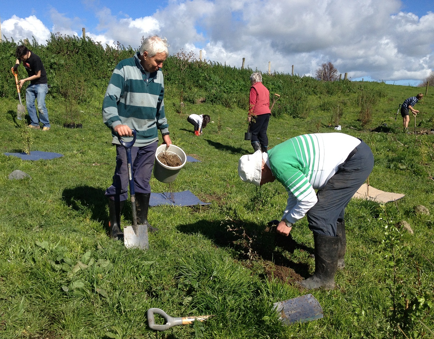 Pasture to Profit: Farm Tree Planting Together is FUN