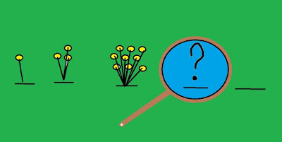 Mathematics: how to find the common ratio of geometric sequence