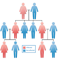 About Mutation: Heredity
