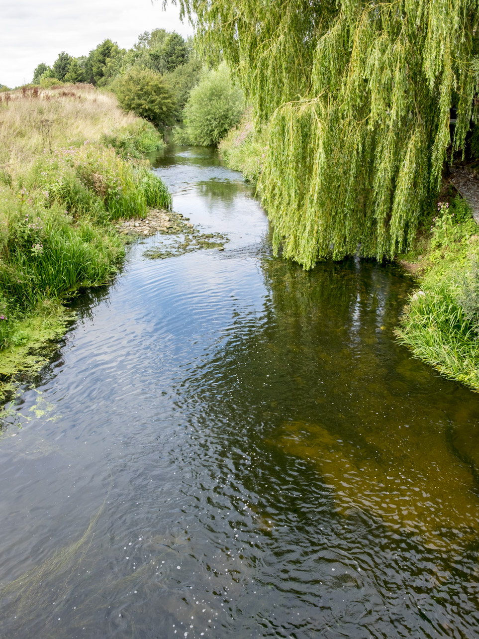 Mike's Natural Musings: The Upper River Witham.