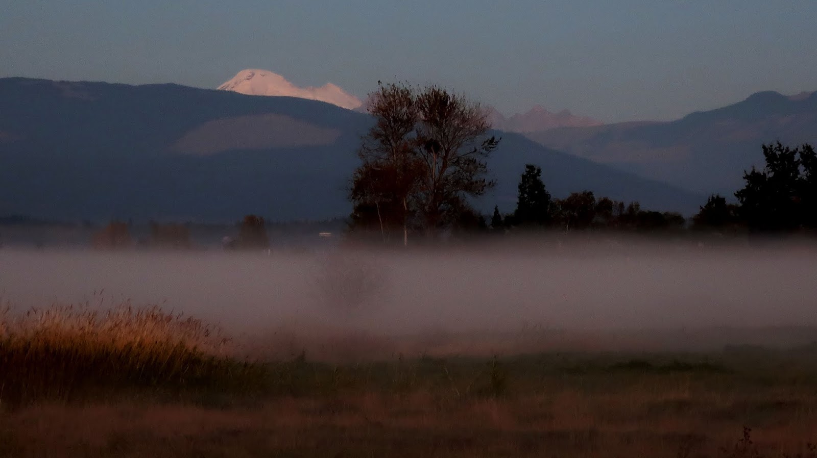 Reading the Washington Landscape: Ground Fog During the Dry Spell