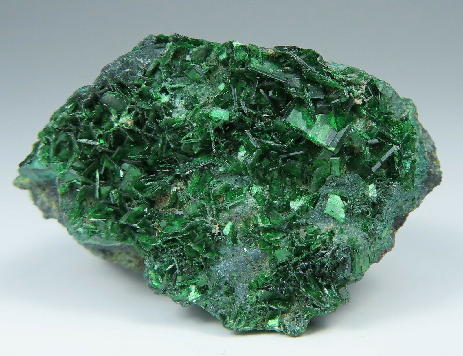 AE1S Science and Engineering Blog: Some specimens from my Radioactive ...