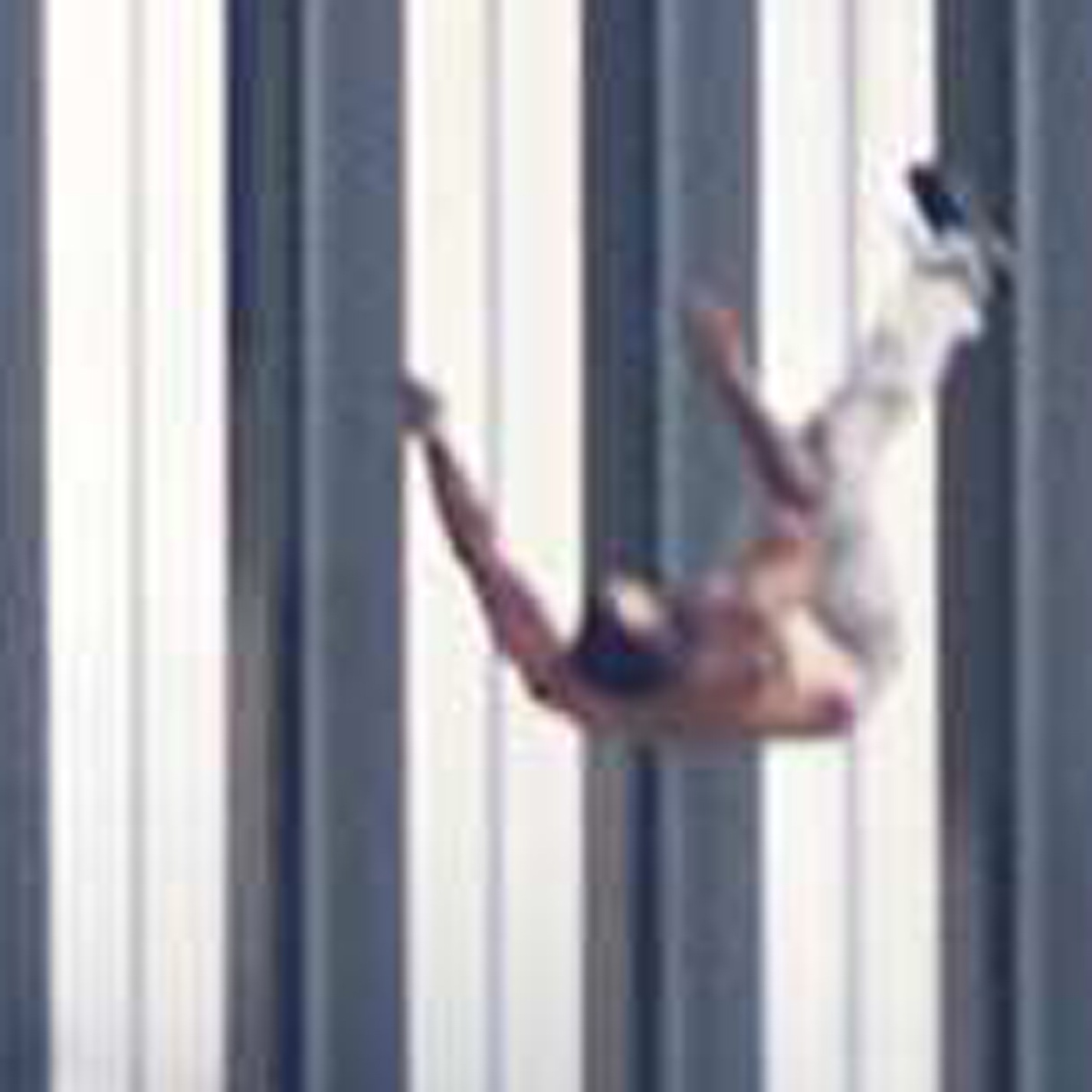 Collection 90+ Pictures Video Of People Falling Down Superb