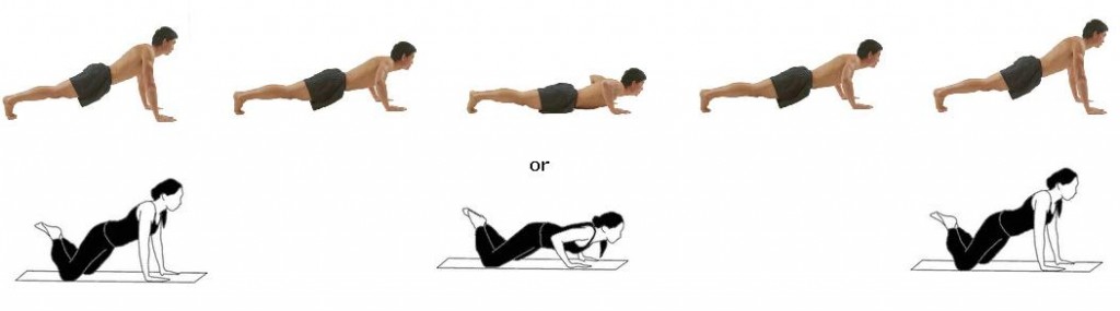 Perfect Exercise| Push-Ups