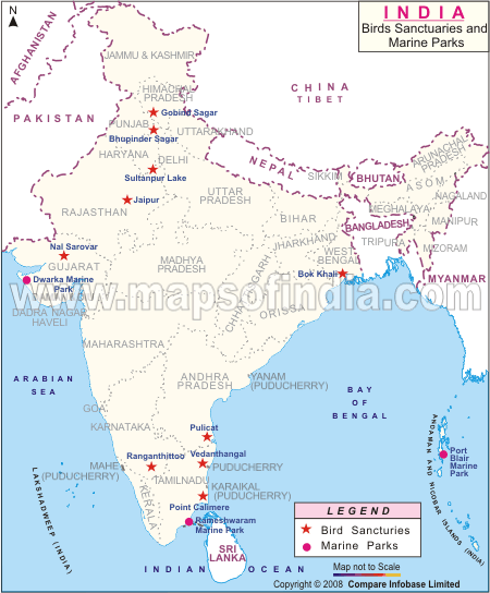 Useful Informations: Set Map In Mind