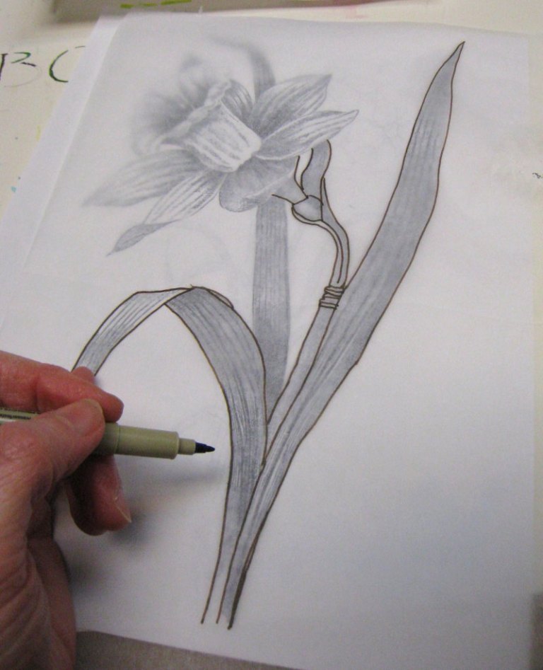 12 Months in View: Flower of the Month: Daffodil