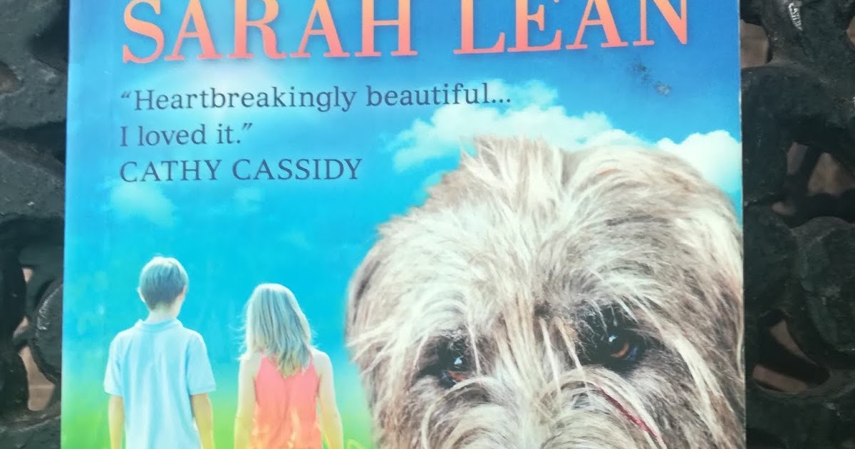 A Dog Called Homeless - A Book Review