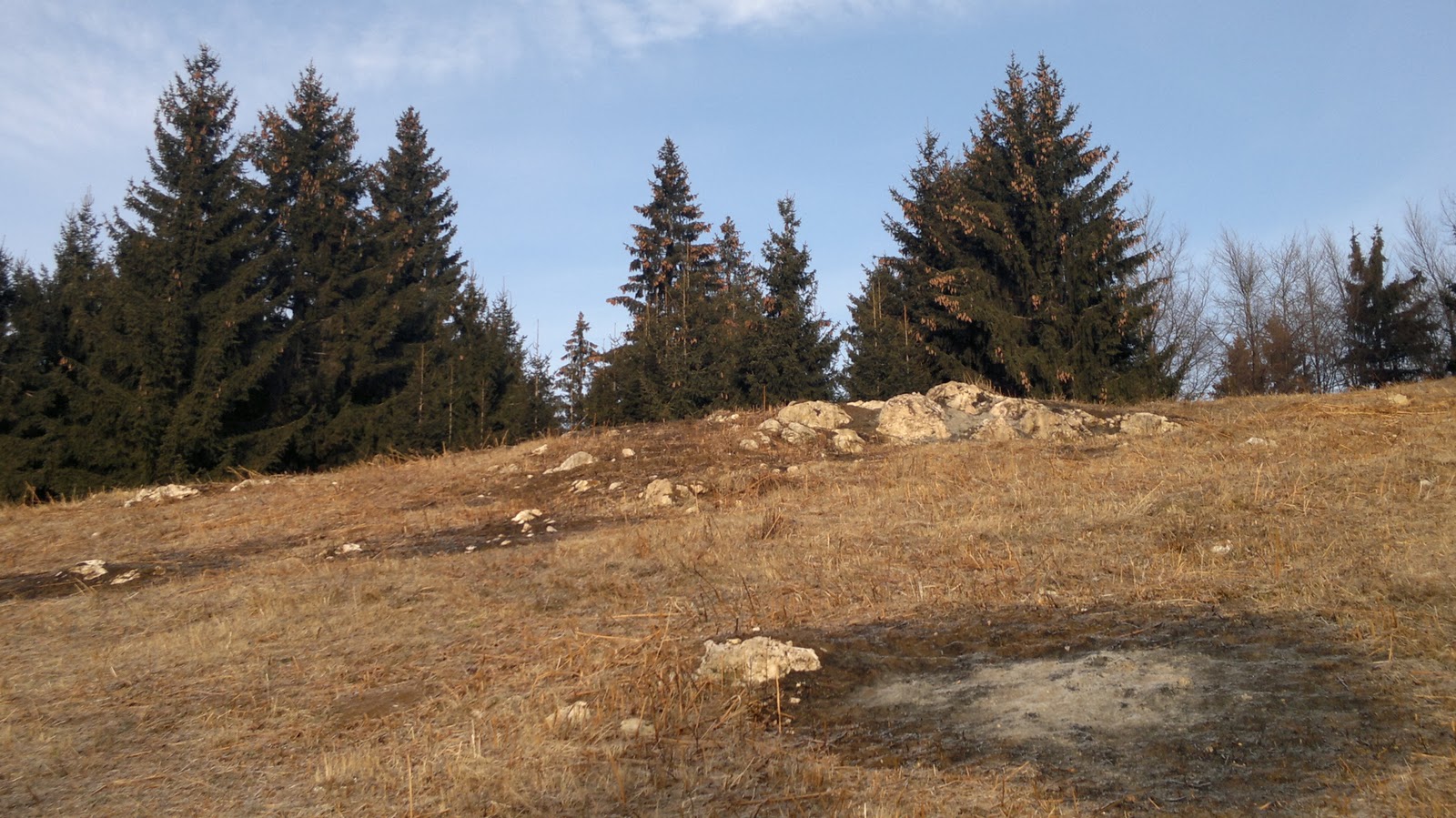 Svet pod lahkimi koraki: Bezovec(Dobrovlje)