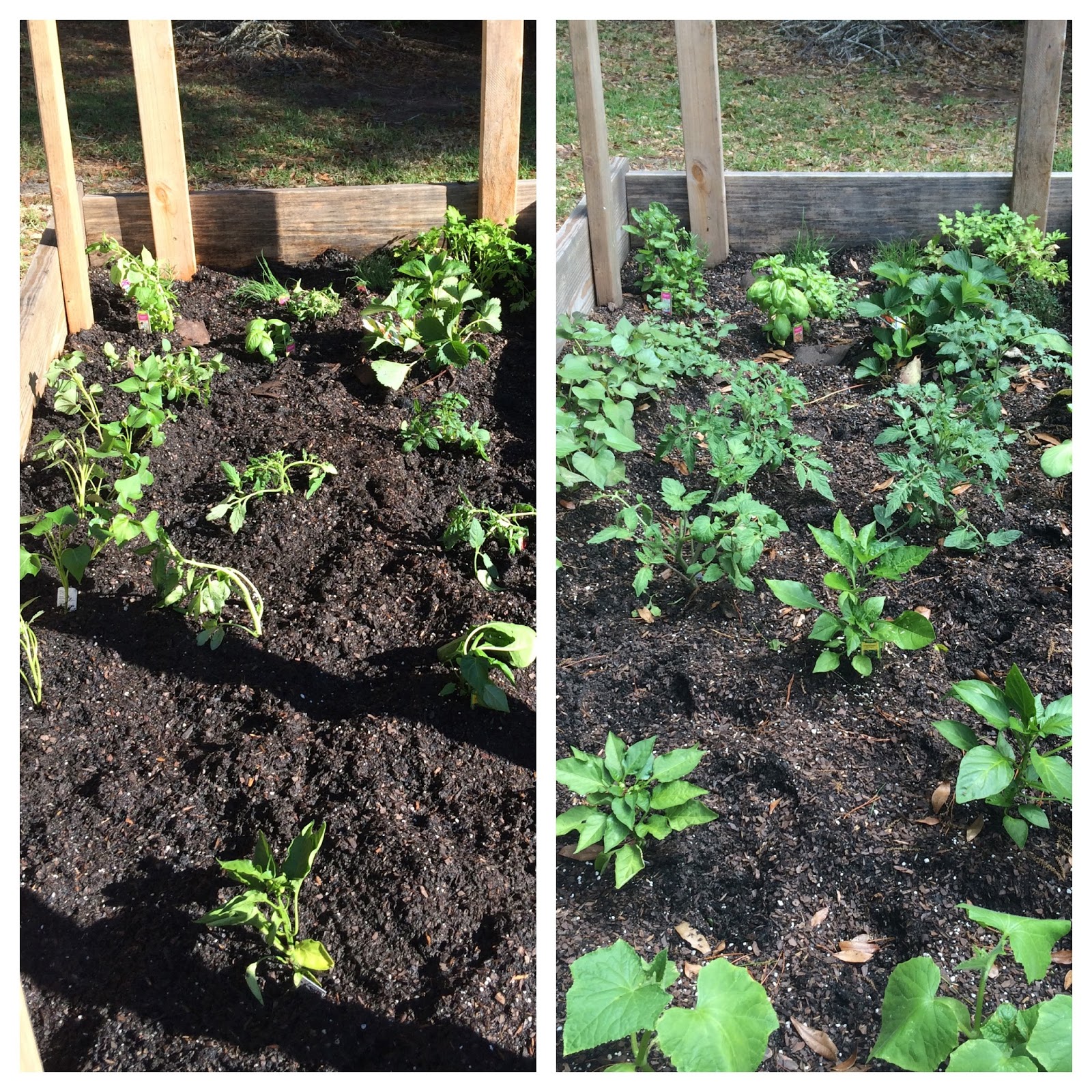 Inch by Inch, Row by Row