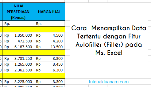 Cara Menampilkan Data Tertentu dengan Fitur Autofilter (Filter) pada Ms ...